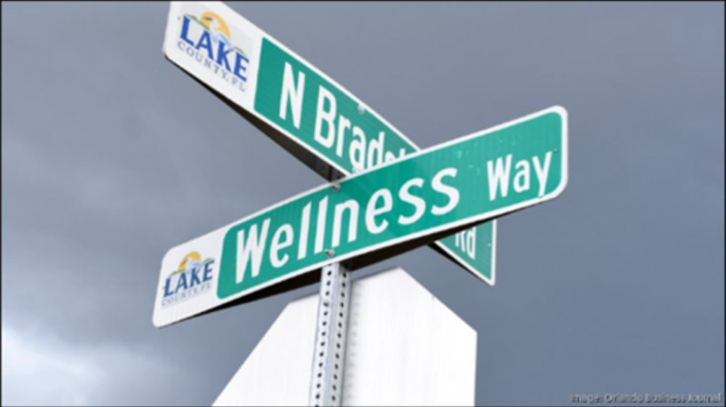 Wellness Way Update: Lake County’s High-Growth Corridor (with some ...